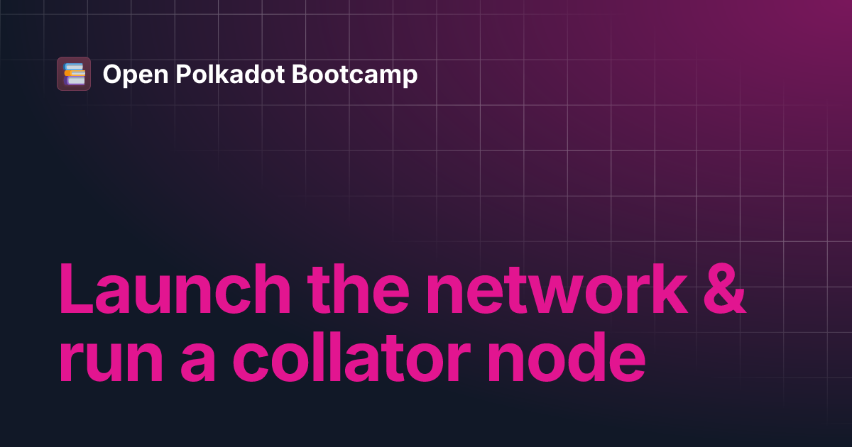Launch the network & run a collator node | Open Polkadot Bootcamp